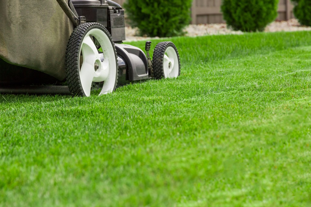 Easy Ways to Maintain a Healthy Lawn Over the Summer Season | Advanced ...